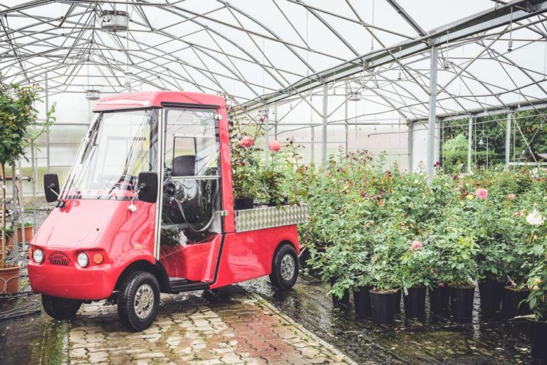 Graf Carello – Elektromobile / Seniorenfahrzeuge